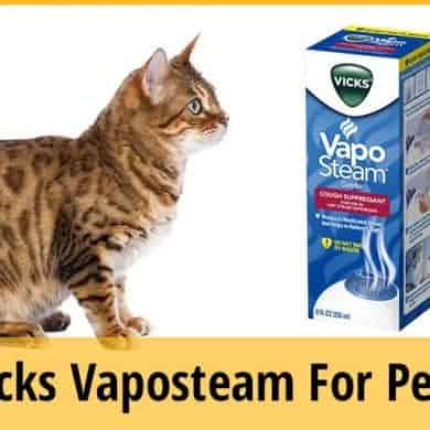 Vicks Vaposteam- Is it Safe for Your Pets? | ZooAwesome