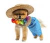 A Dog Breed that Originated in Hawaii (Hawaiian Poi & Others) | ZooAwesome
