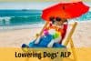 How To Lower Alkaline Phosphatase Levels In Dogs? + Low Acid Food For ...