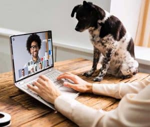 Can Dogs Recognize Their Owners' Video Call? (Skype & Facetime ...