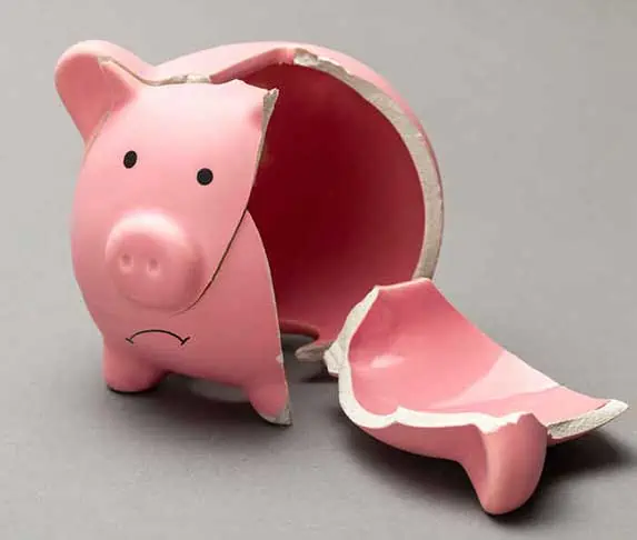 Petland Dog Prices (Pricing Guide) | ZooAwesome