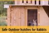 Keeping Rabbits Safe and Healthy with Outdoor Hutches | ZooAwesome
